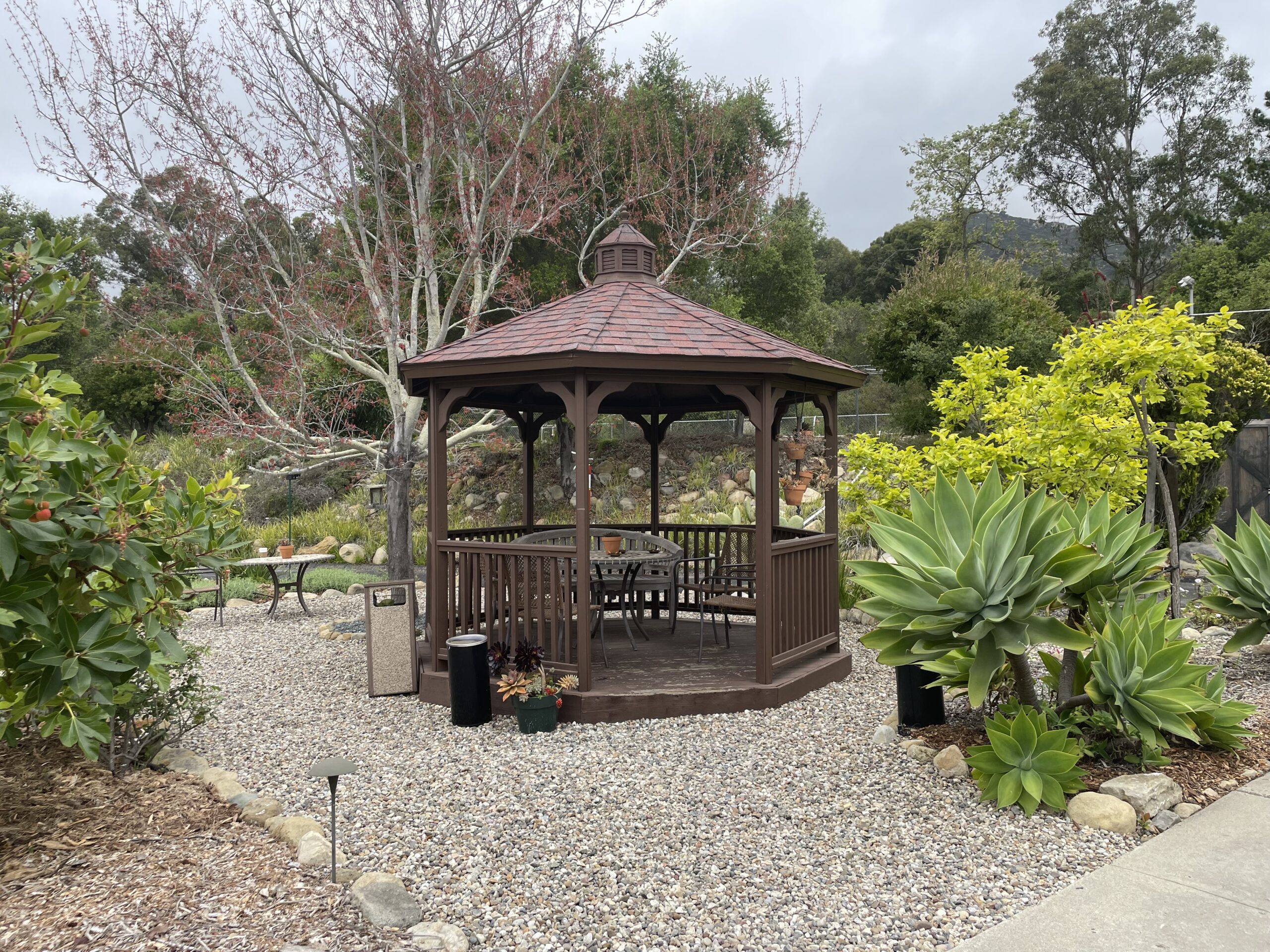 Image - Pacifica Graduate Institute